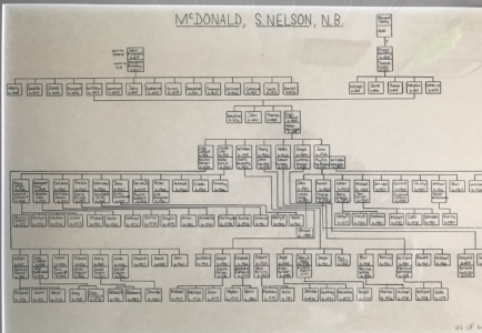 McDonald Family Tree – McDonald Morgan Family Site